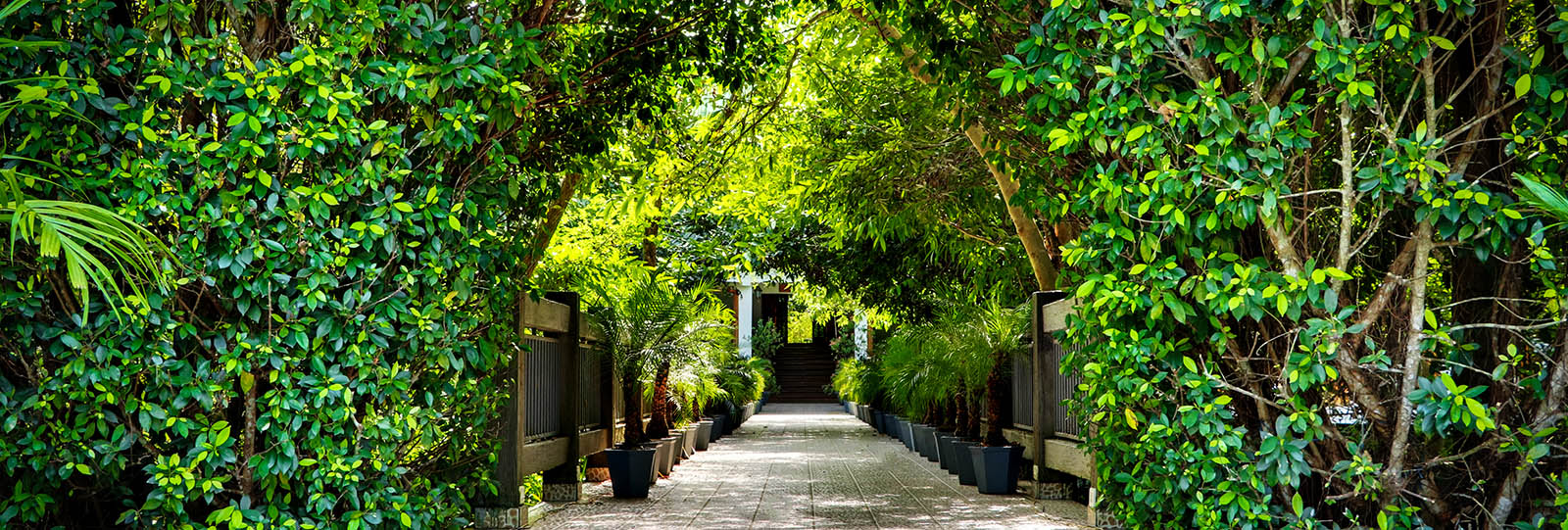 Kaziranga Borgos Resort